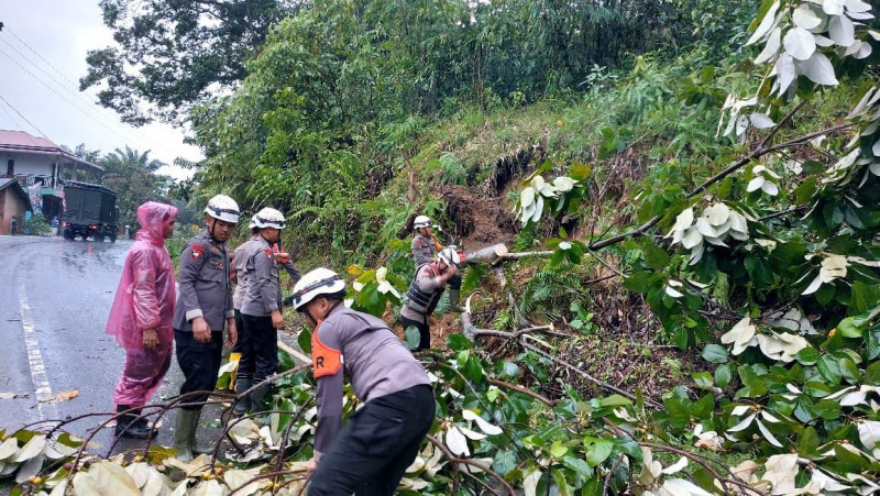 Media Budaya Indonesia | Hujan Deras Picu Longsor dan Banjir di ...